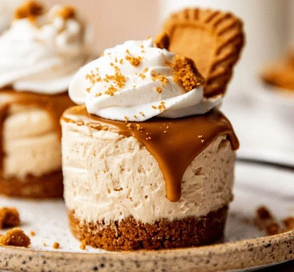 Mini No Bake Biscoff Cheesecakes